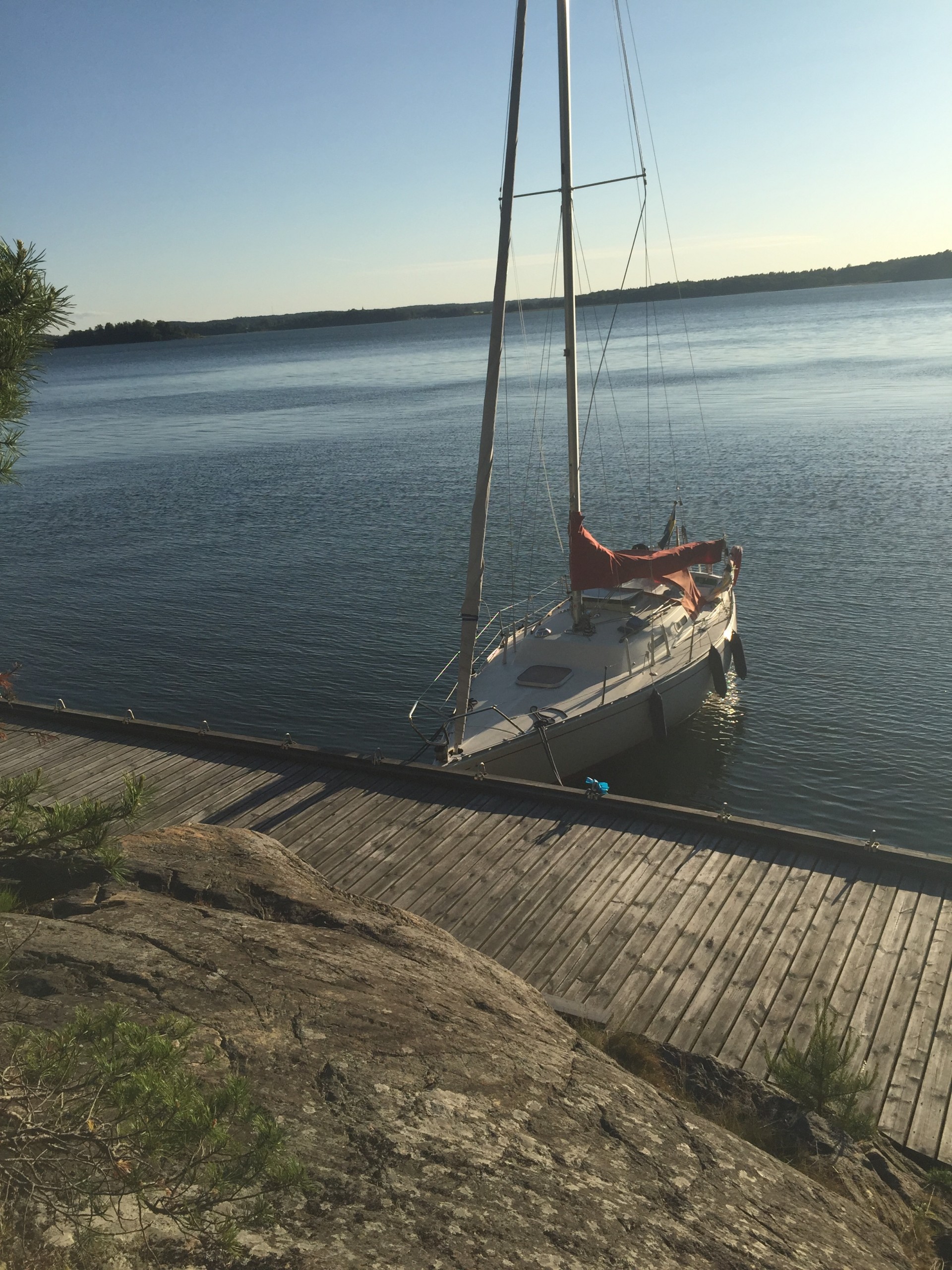 Albin Accent | Skipperi