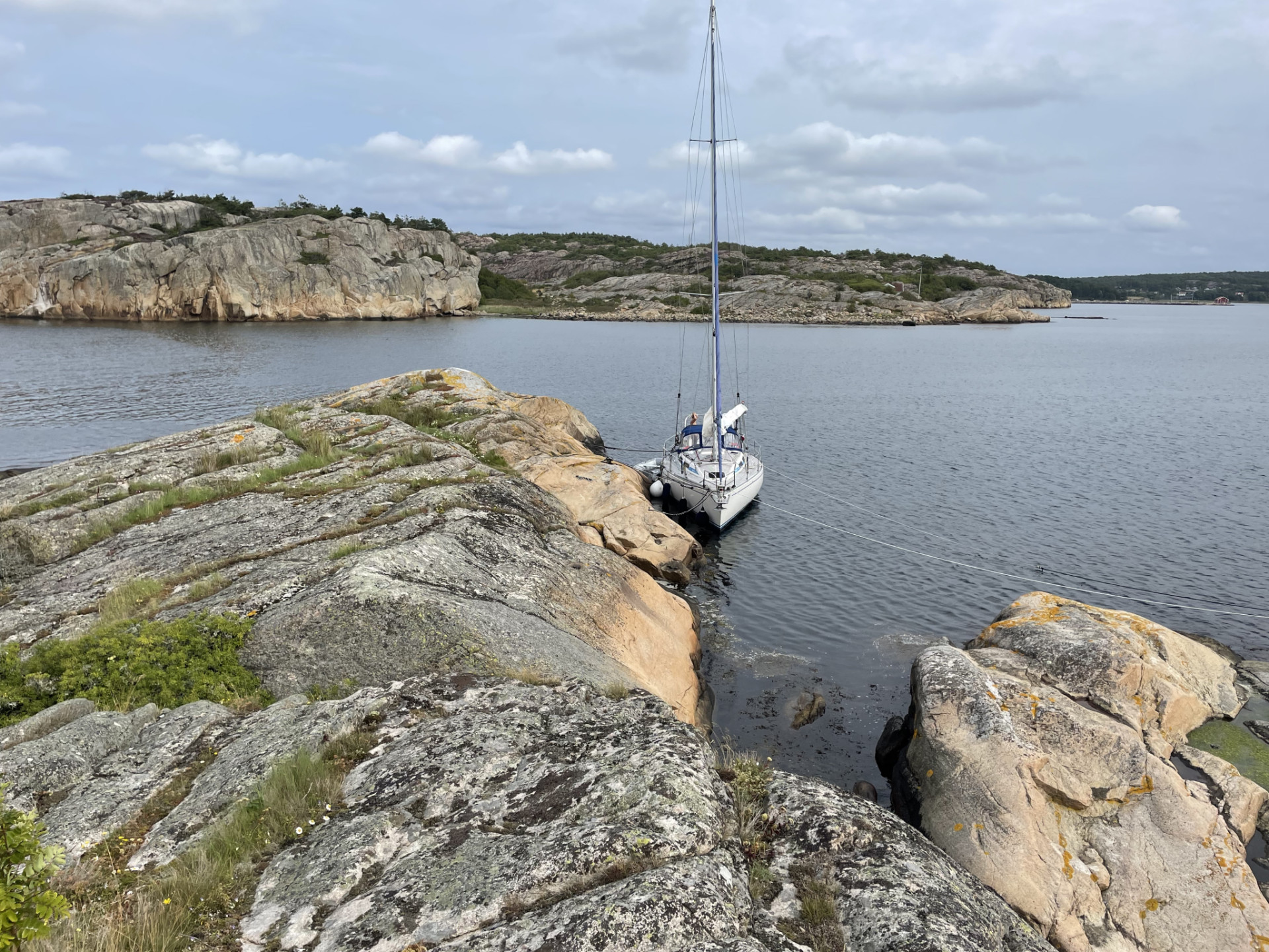 Impala 36 | Skipperi