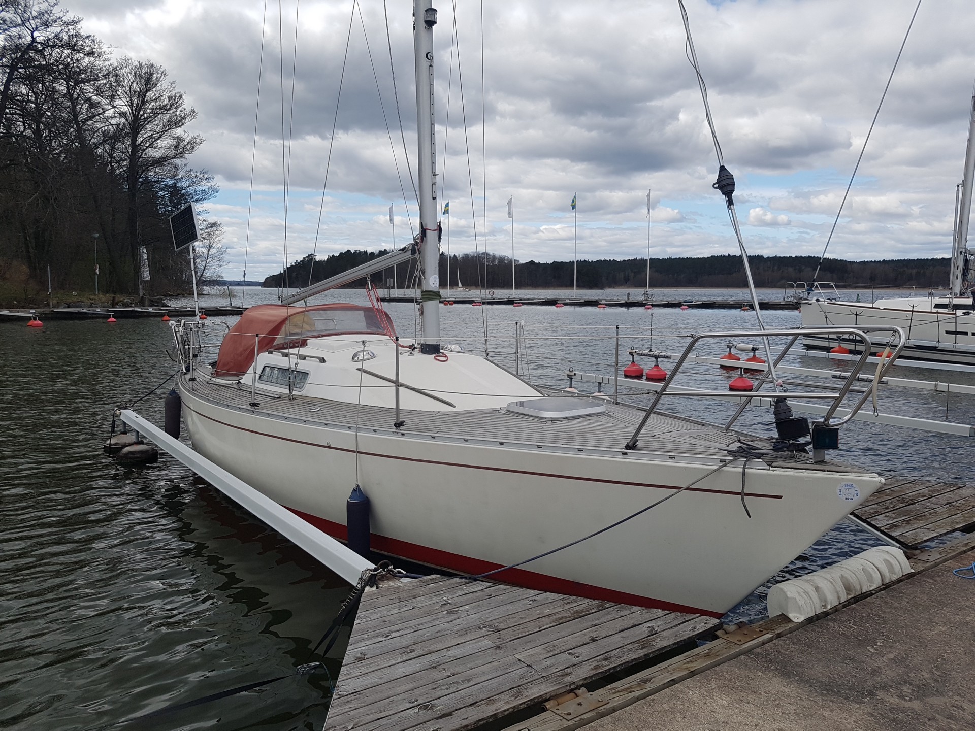 Albin Cumulus | Skipperi