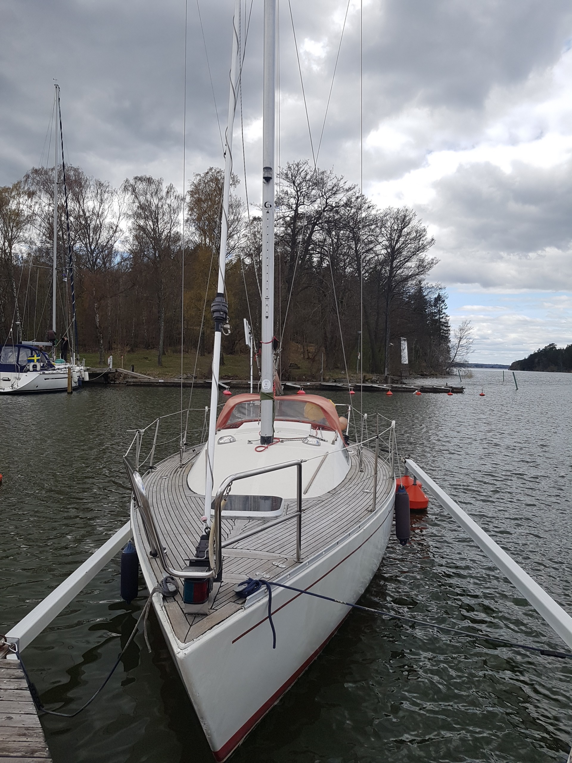 Albin Cumulus | Skipperi