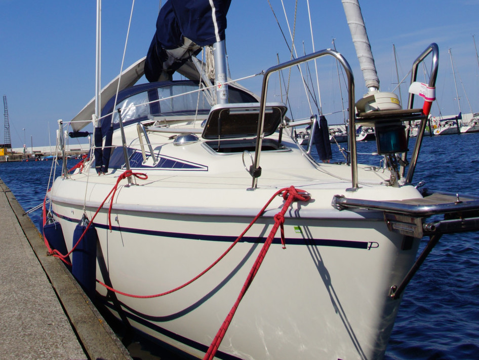 Maxi Fenix | Skipperi