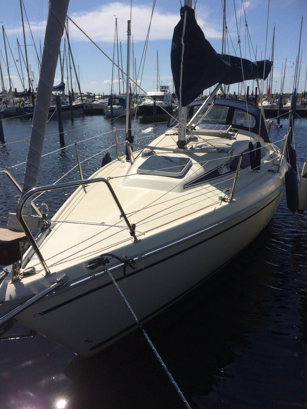 Maxi Fenix | Skipperi