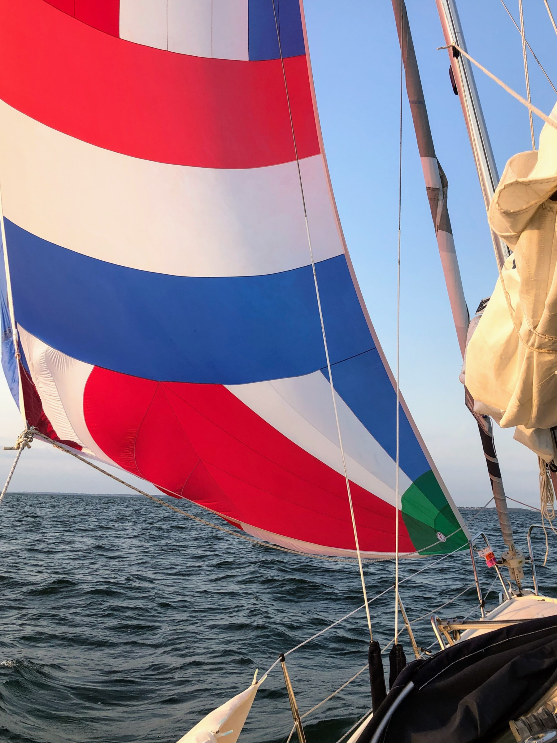 Maxi Fenix | Skipperi