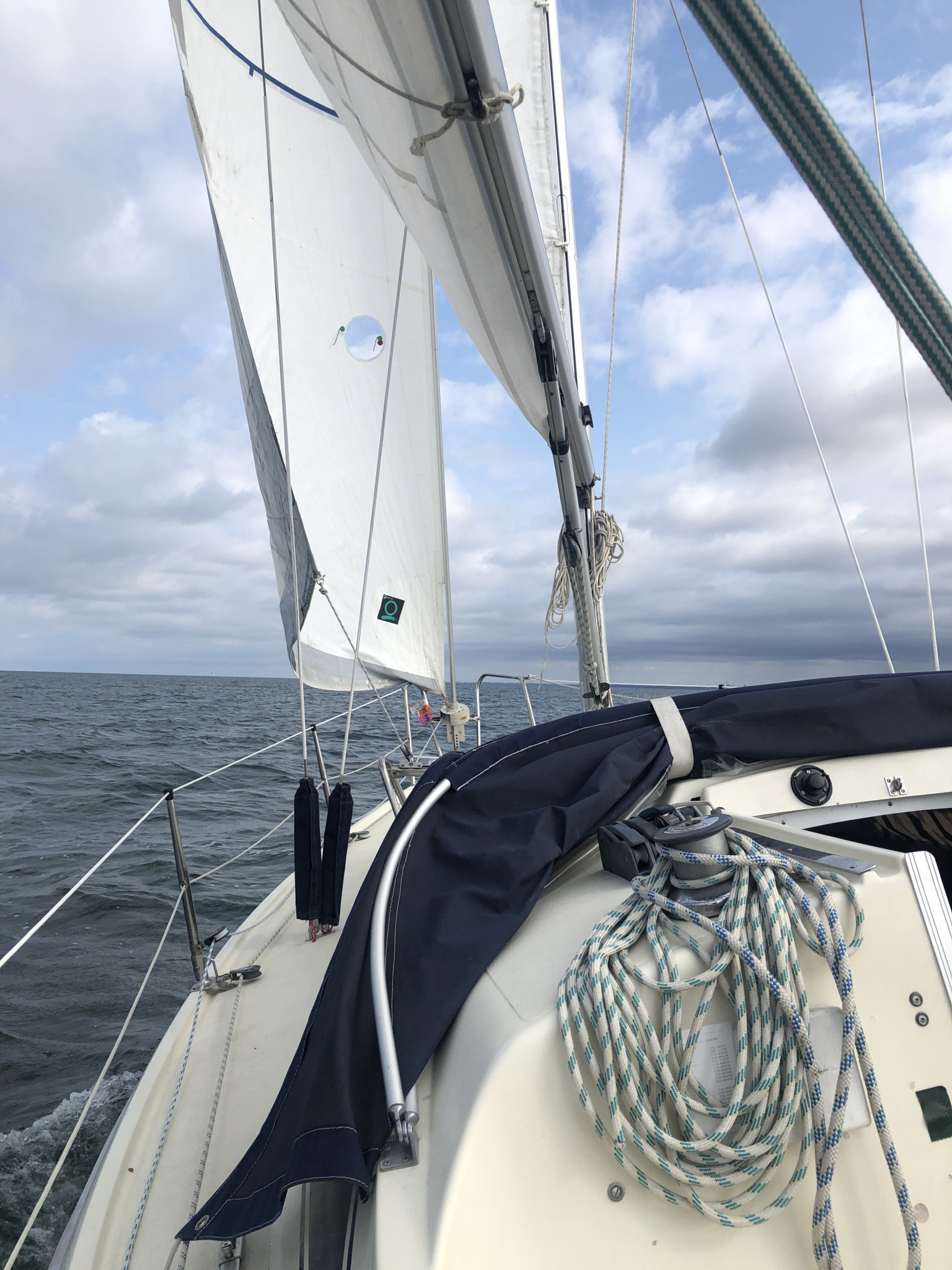 Maxi Fenix | Skipperi