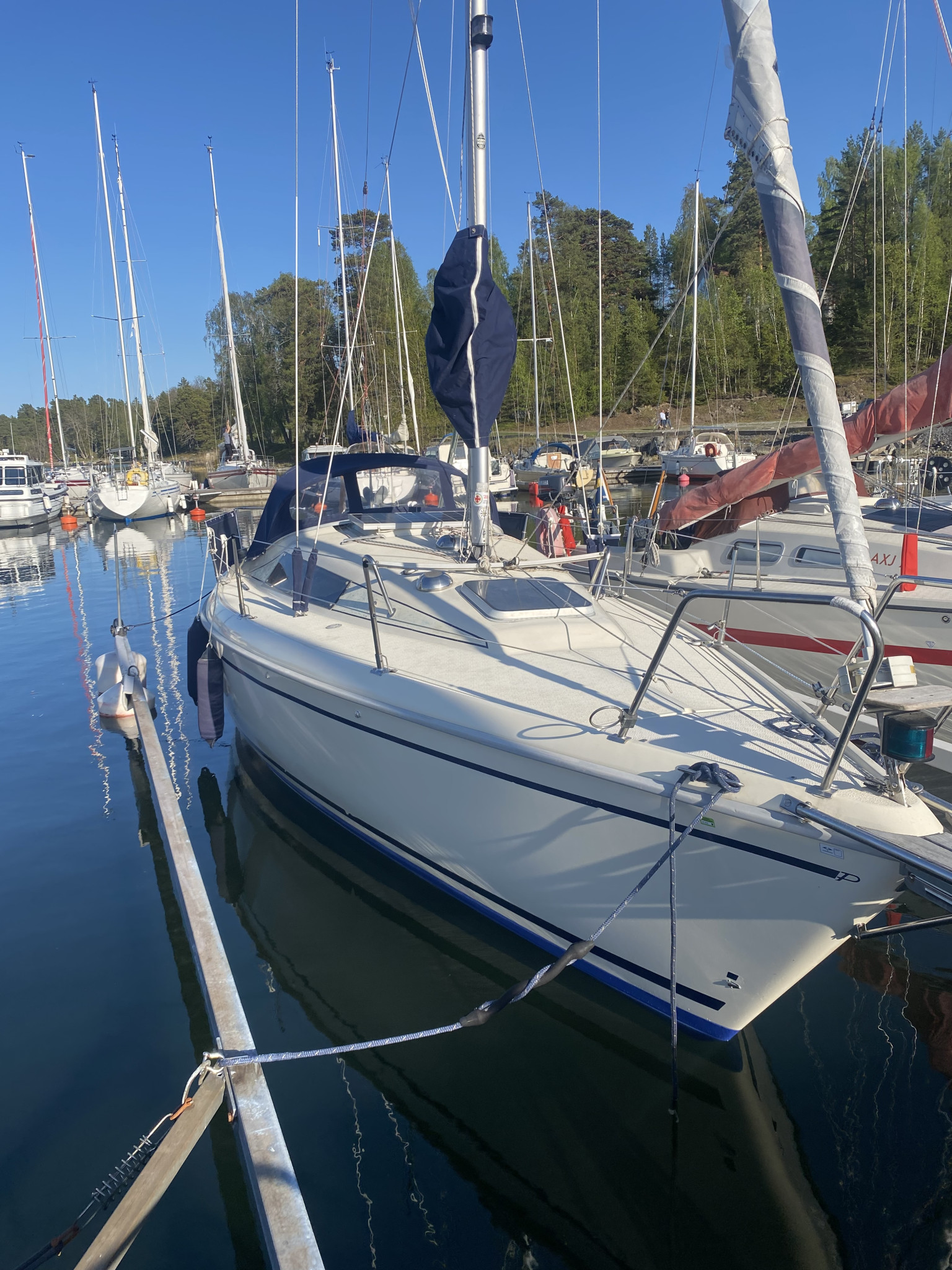 Maxi Fenix | Skipperi