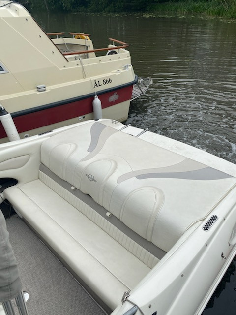 Crescent Stingray | Skipperi