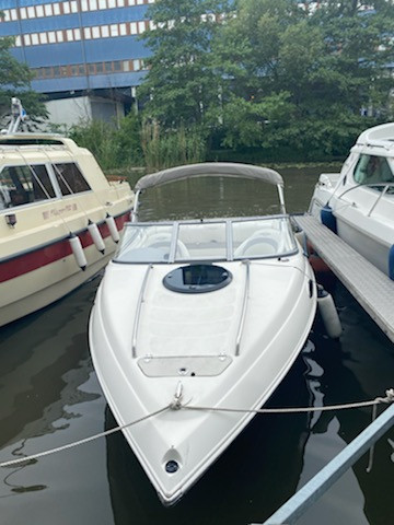 Crescent Stingray | Skipperi