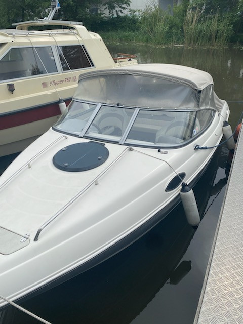 Crescent Stingray | Skipperi