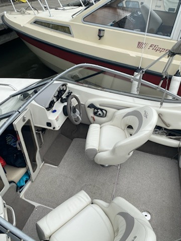 Crescent Stingray | Skipperi