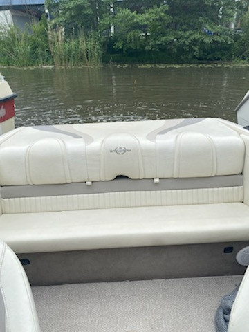 Crescent Stingray | Skipperi