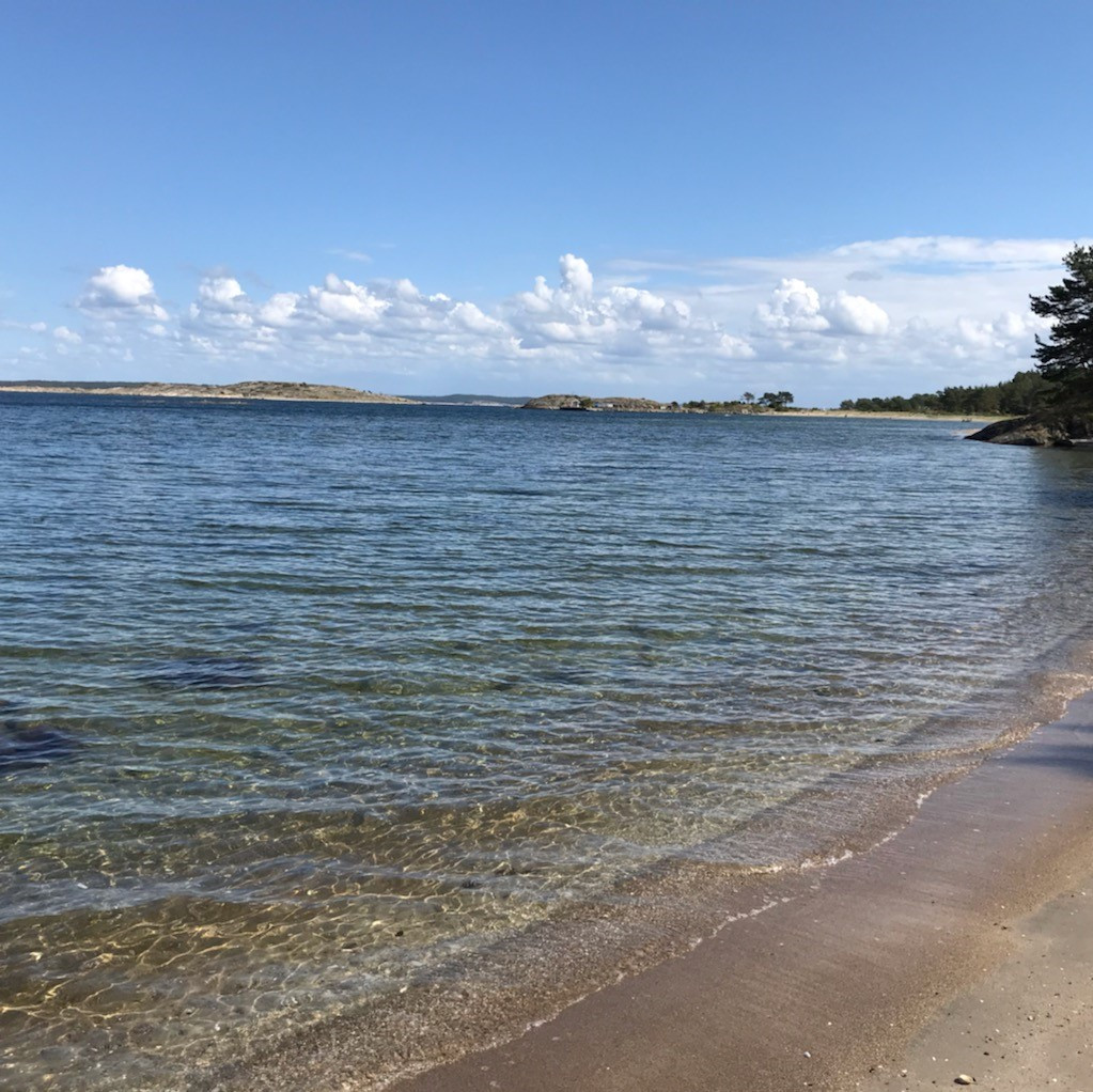 Crescent Såld dvs bortsgen 498 | Skipperi