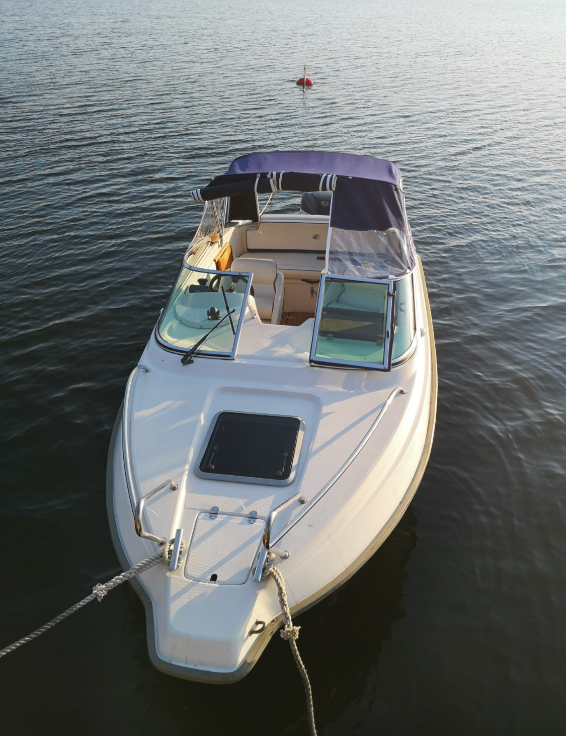 Uttern D55 Exclusive | Skipperi