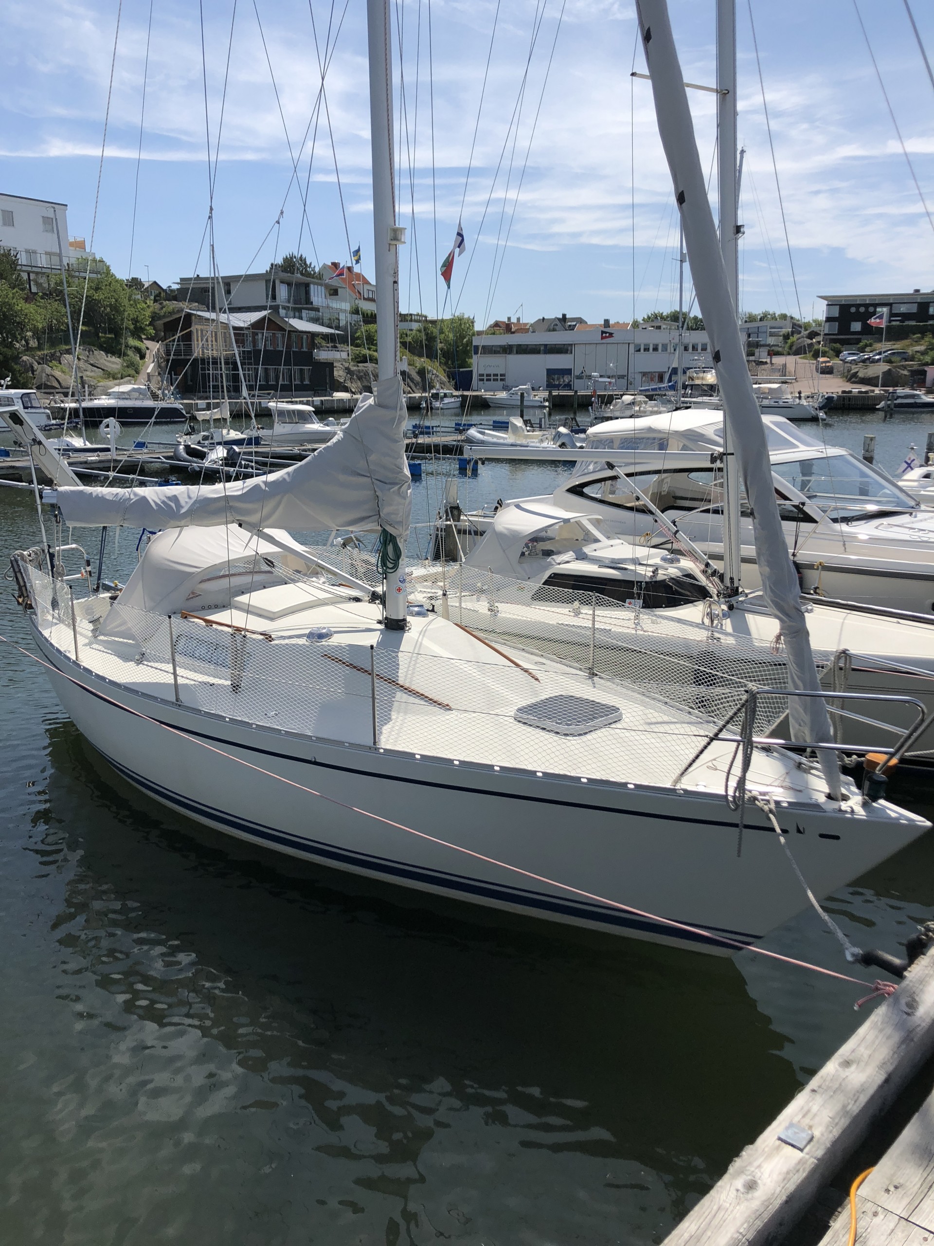 Albin Cumulus | Skipperi