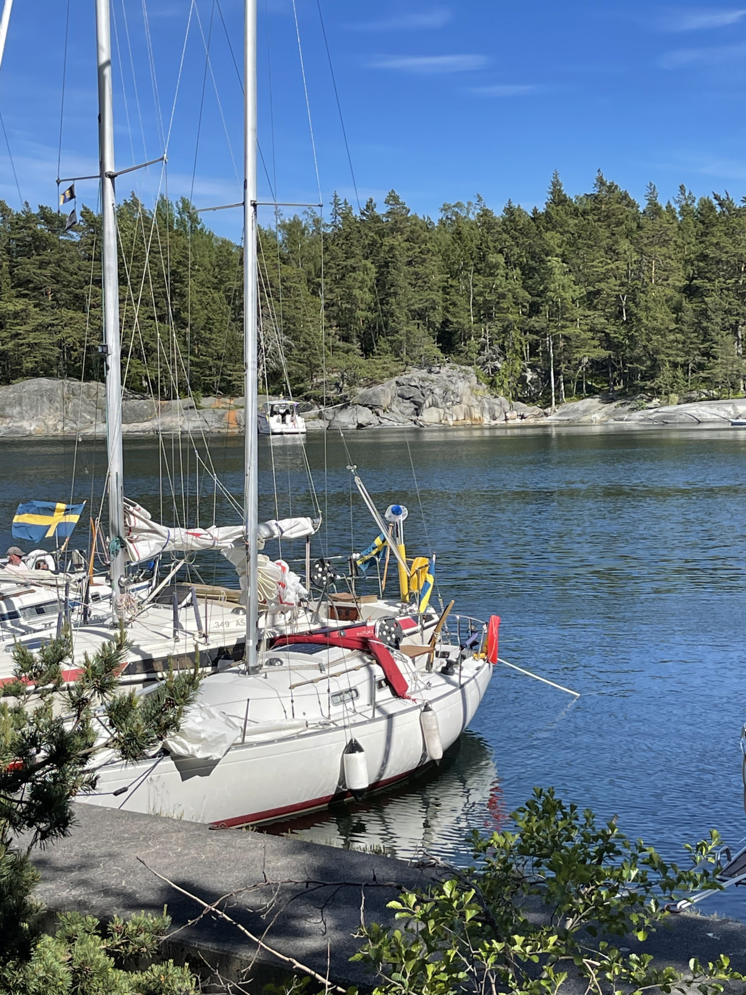 Albin Accent | Skipperi