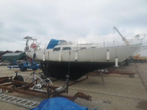 Arietta 31 Arietta 31 | Skipperi