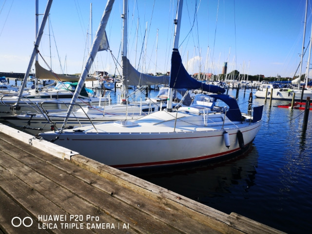 Albin Cumulus | Skipperi