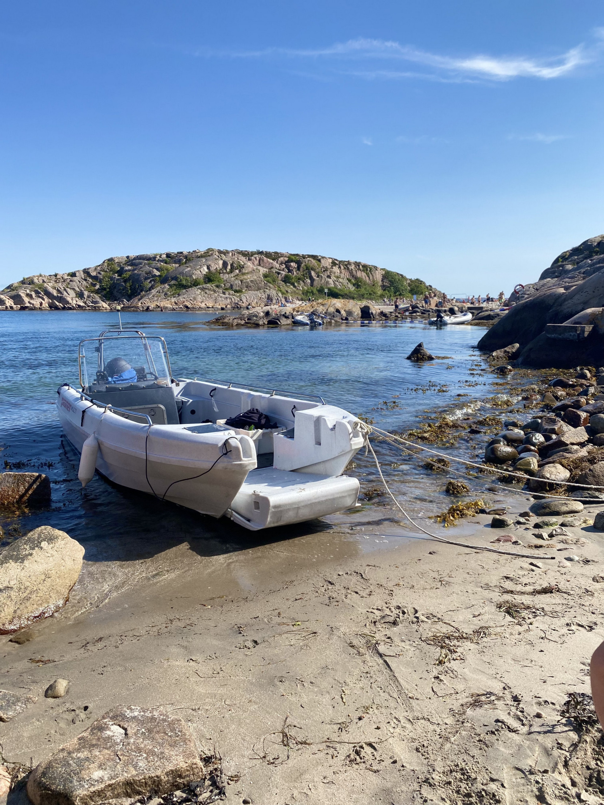 Pioneer Multi | Skipperi