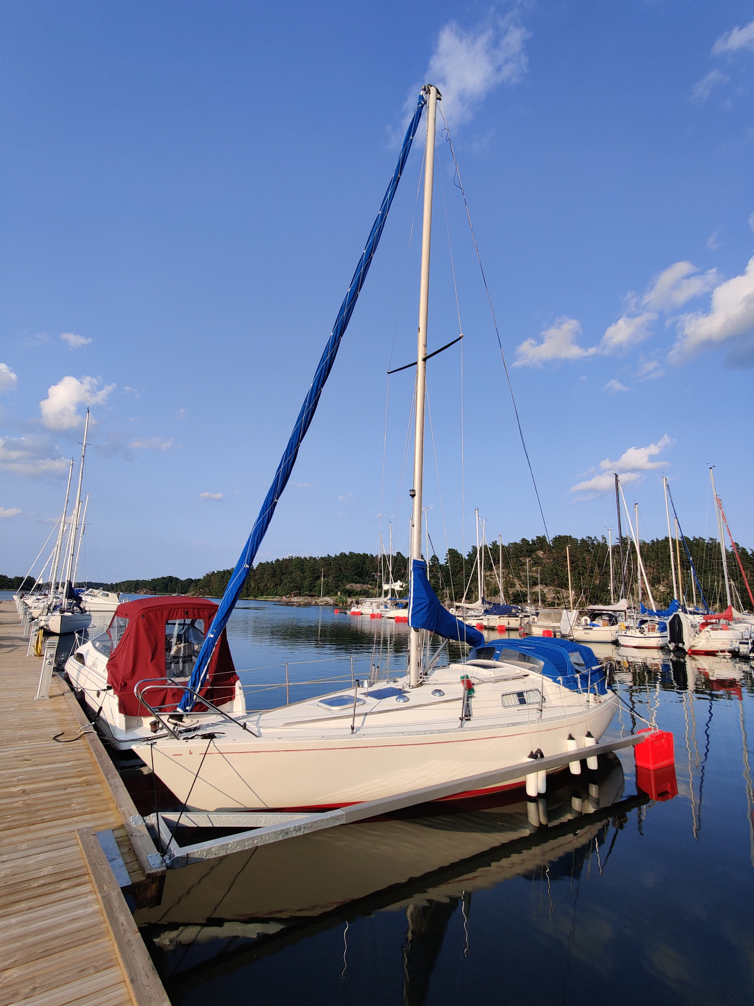 Scampi 30 | Skipperi