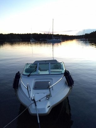 Uttern D55 Exclusive | Skipperi