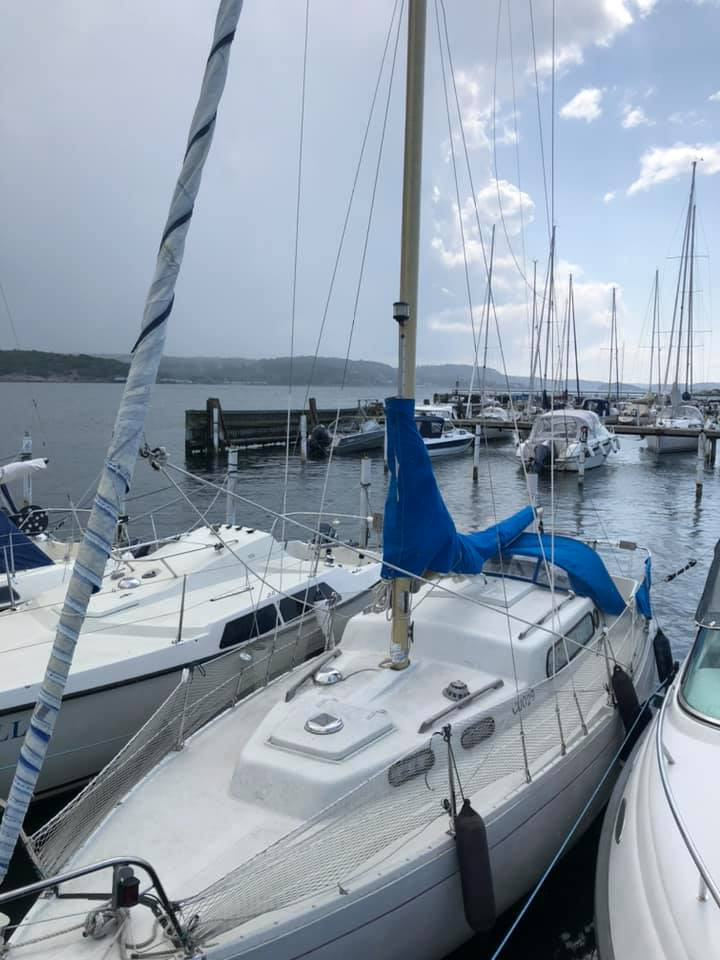 Albin Vega | Skipperi