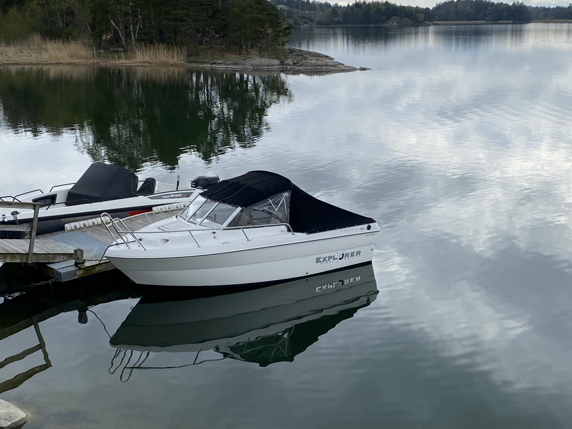 Campion 552 | Skipperi