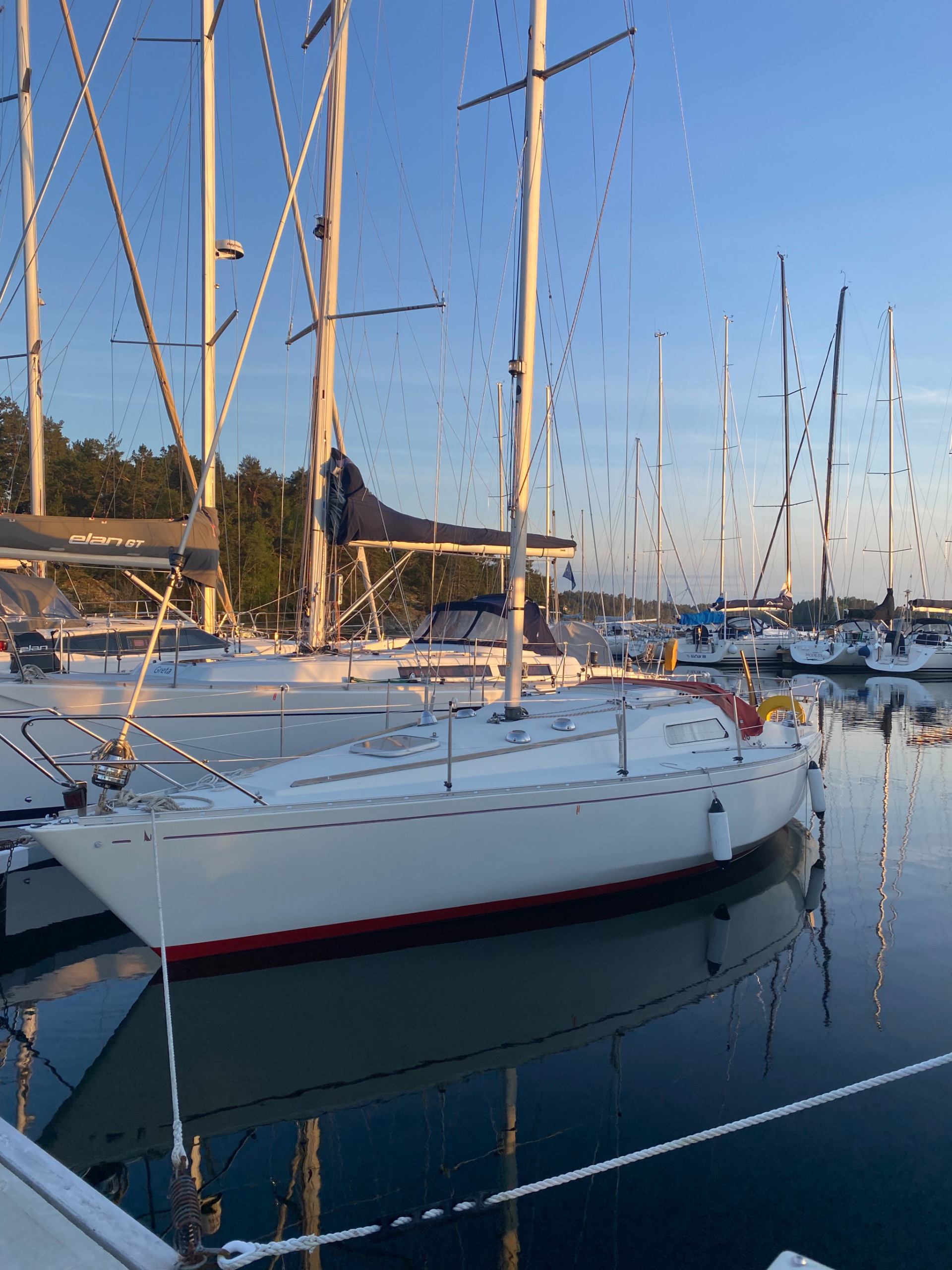 Albin Scampi 30 | Skipperi