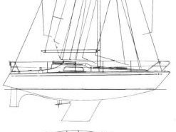 Albin Scampi 30 | Skipperi