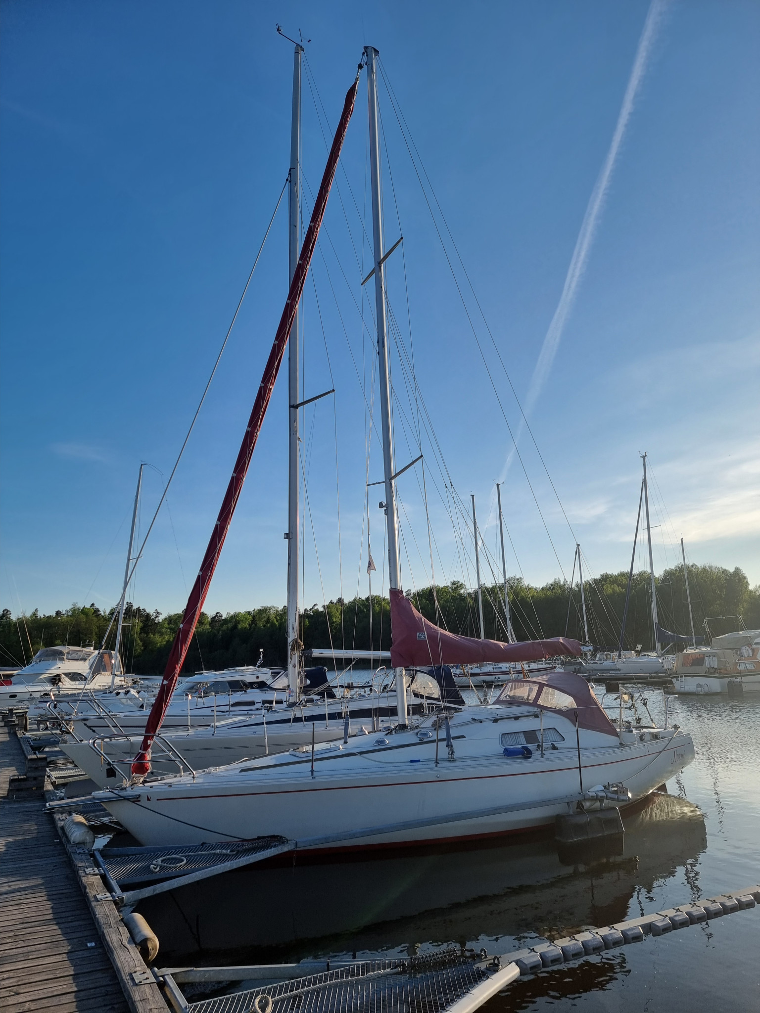 Scampi Scampi 30 | Skipperi