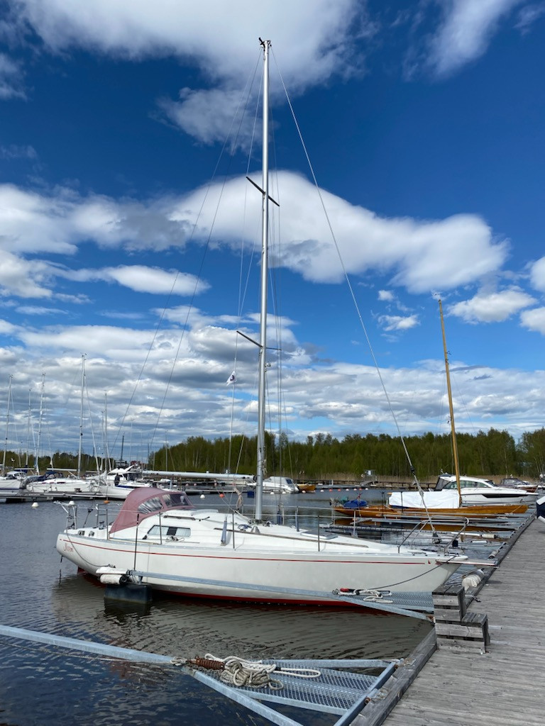 Scampi Scampi 30 | Skipperi