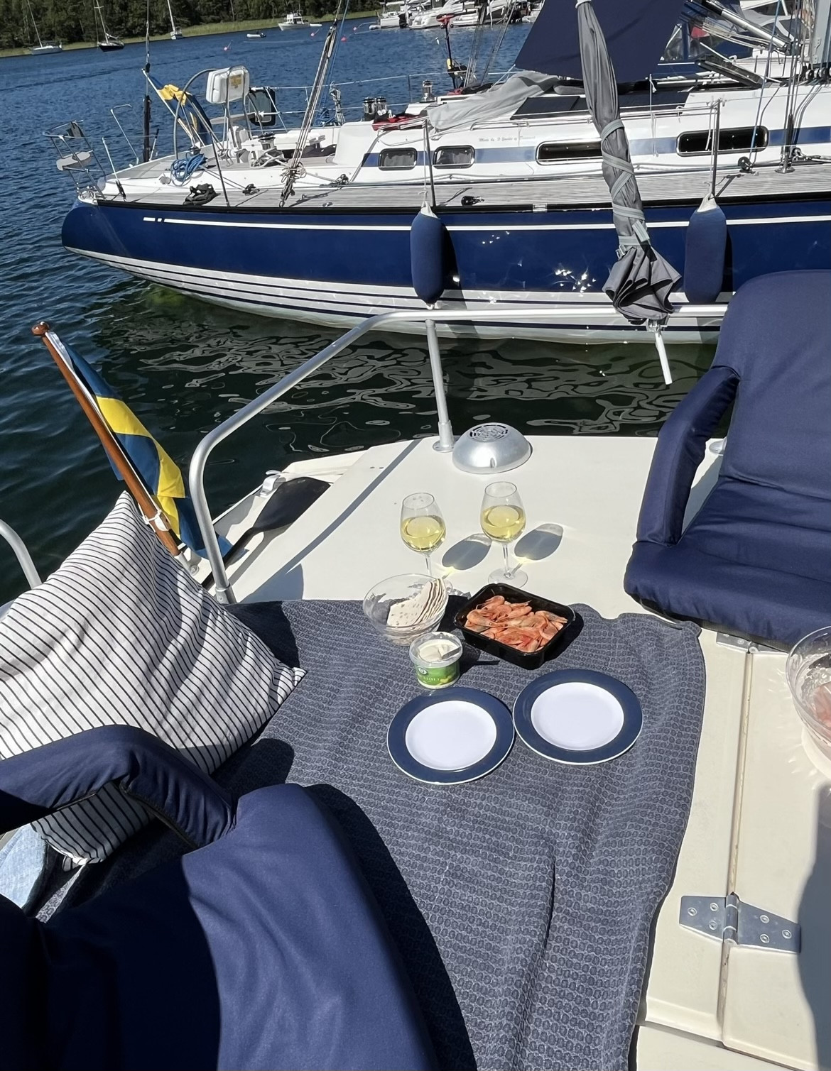 Flipper 850 | Skipperi