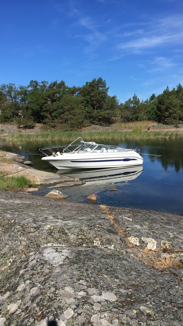 Crescent T Rex | Skipperi