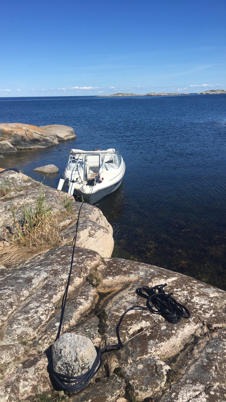 Crescent T Rex | Skipperi