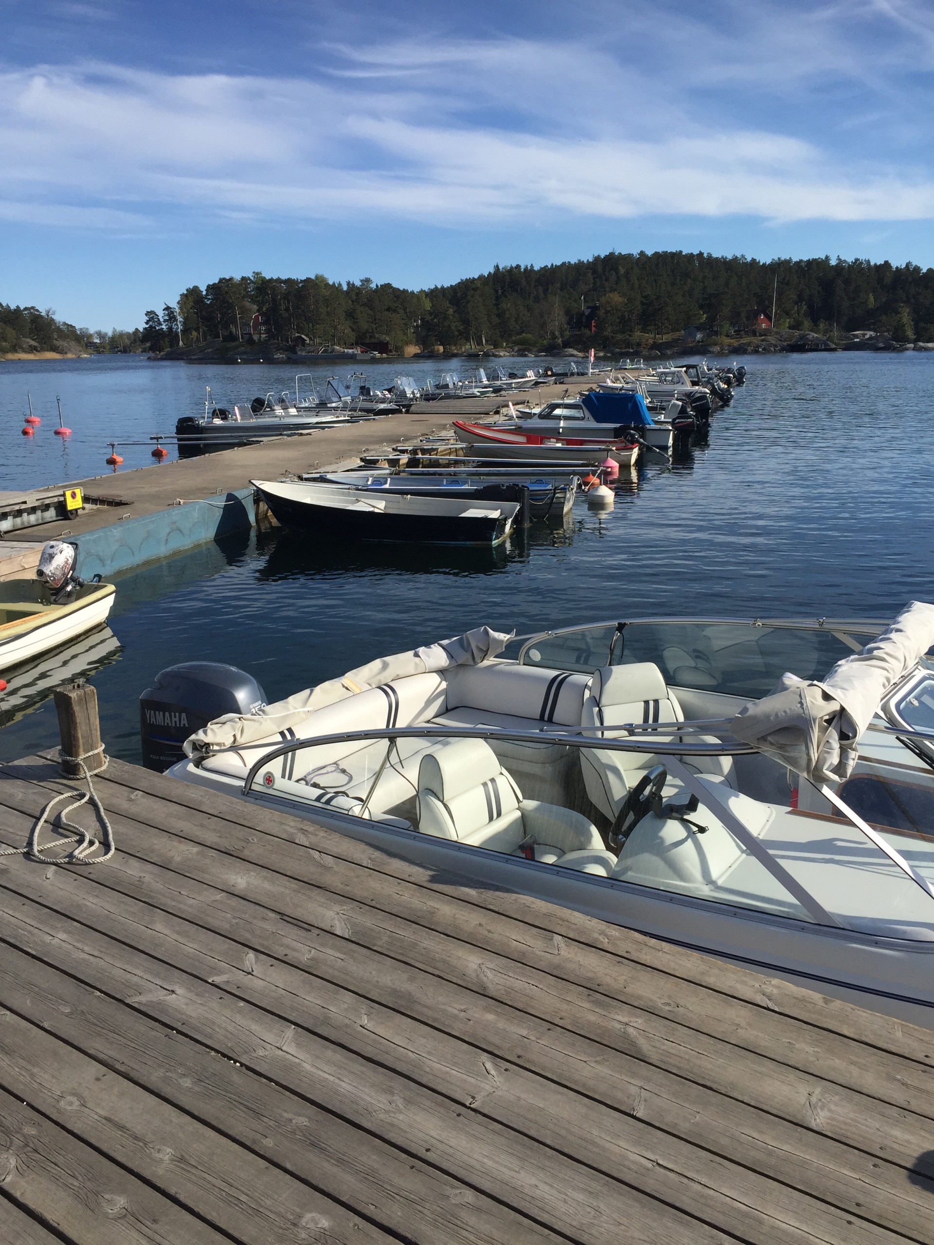 Crescent T Rex | Skipperi